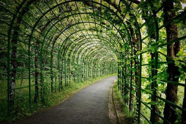 Garden Pathway Design Plans for Slopes and Drainage