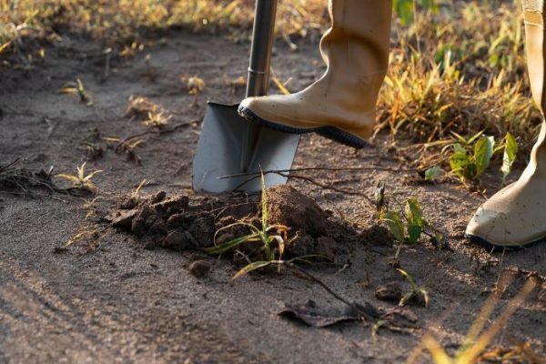Parts of a Garden Shovel: Names, Functions Explained