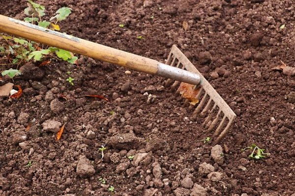 Soil Types and Properties - Read the Ground Before You Plant