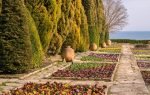 Wind-Resistant Plants for Exposed Gardens: What Really Works