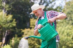 Watering Citrus Trees for Healthy Growth and Better Fruit