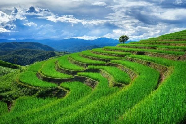 Soil Erosion - Causes, Effects, and Rain Impact